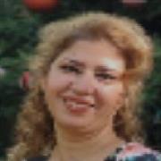 Firoozeh Raygan | Professional activities | University of Florida